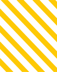 Locação de Fôrmas - Pashal